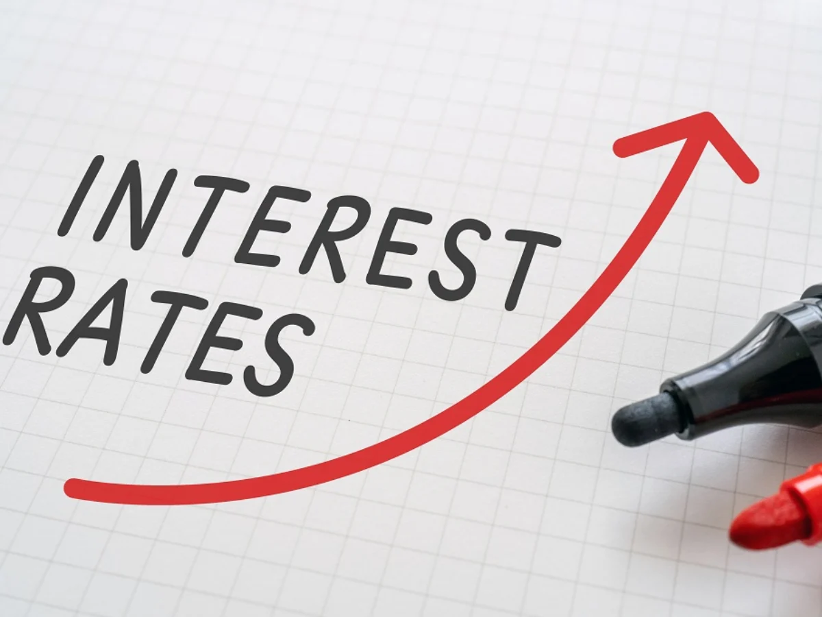 Tasso lordo e tasso netto: differenze e calcolo